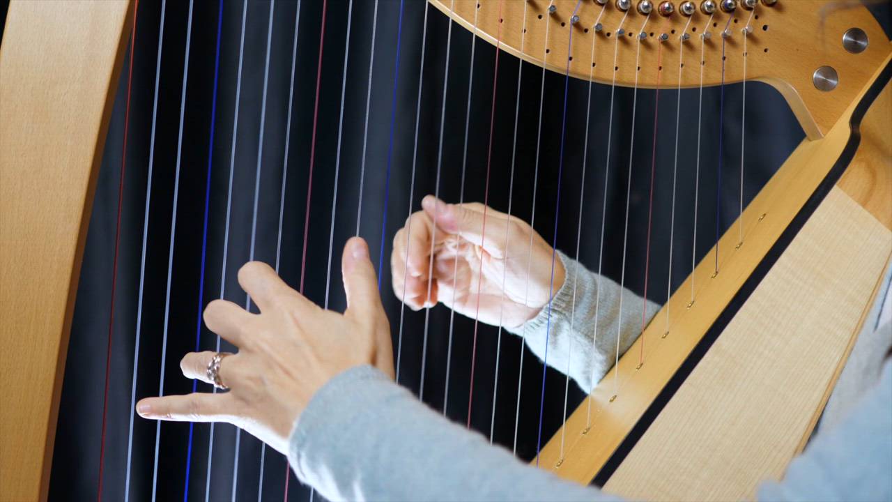 Cad e sin Don té sin – Irish Trad. | Harp School